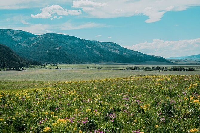 Lamar River Valley Day Hike Tour - Introduction: A Guided Trek into Yellowstone’s Wilderness