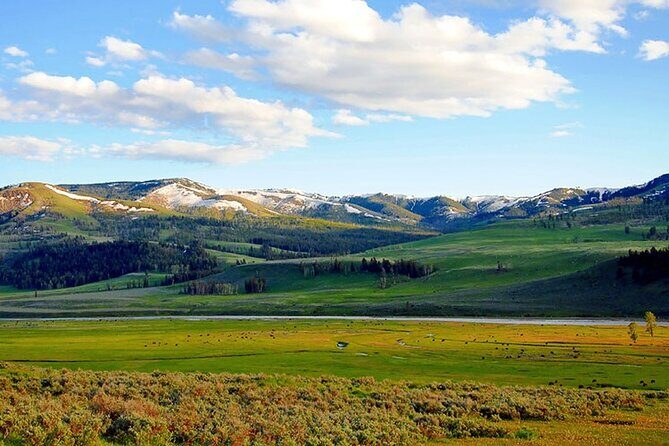 Lamar River Valley Day Hike Tour - Who Will Love This Tour?