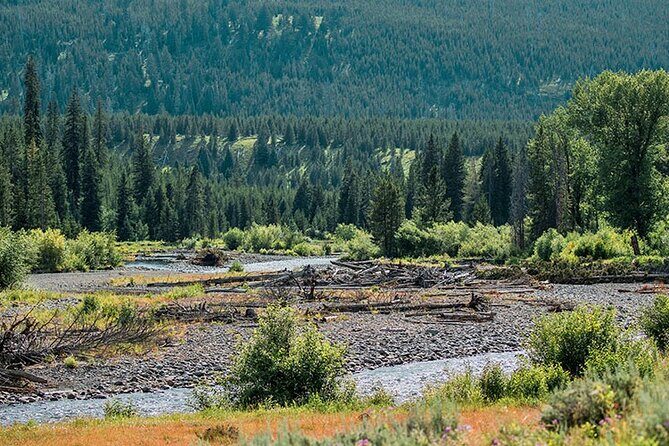Lamar River Valley Day Hike Tour - FAQ: Your Questions About the Lamar River Valley Day Hike