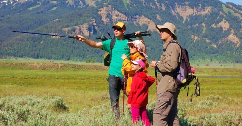 Lamar Valley: Safari Hiking Tour with Lunch - The Experience in Detail