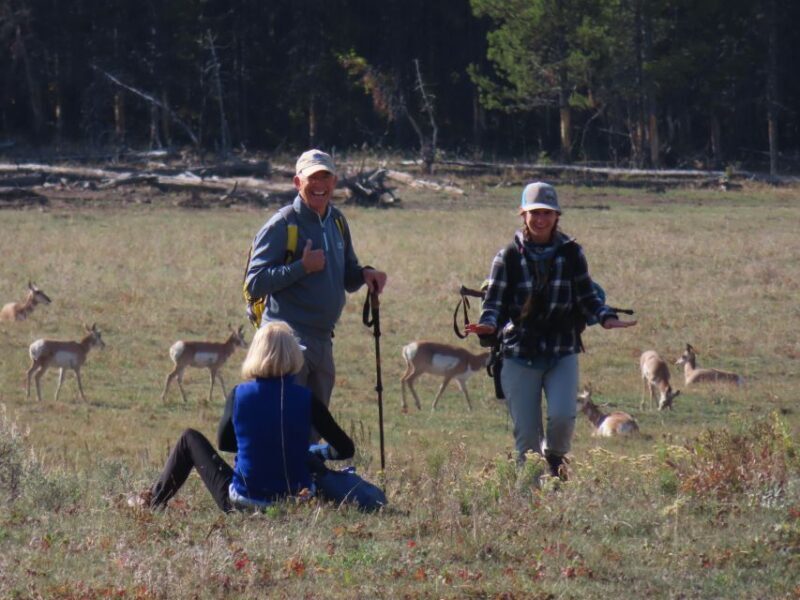 Lamar Valley: Safari Hiking Tour with Lunch - Itinerary Breakdown