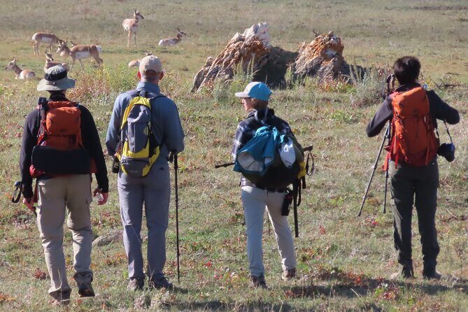 Lamar Valley Safari Hiking Tour with Lunch - FAQs