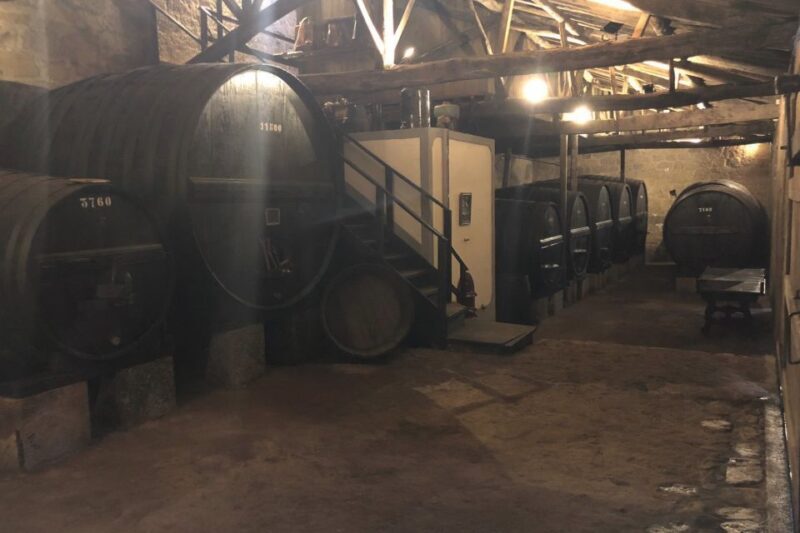 Lamego: Quinta da Portela de Baixo Winery Tour and Tasting - What to Expect on the Tour