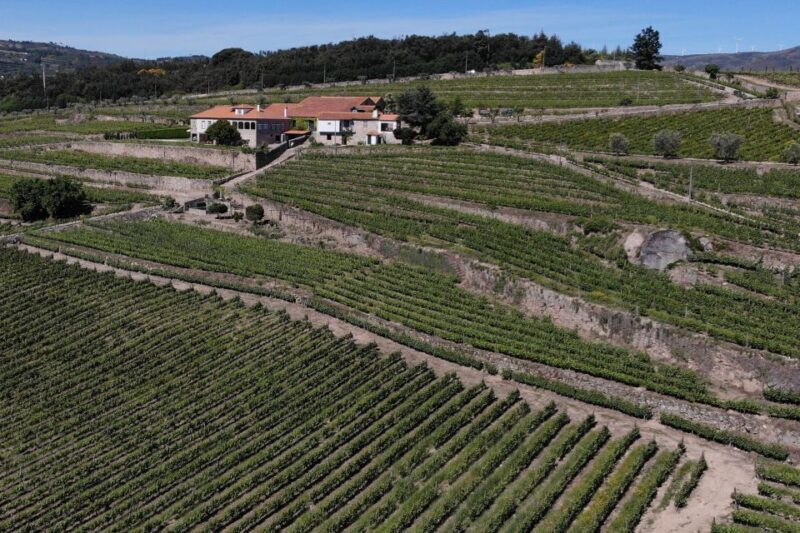 Lamego: Quinta da Portela de Baixo Winery Tour and Tasting - FAQ