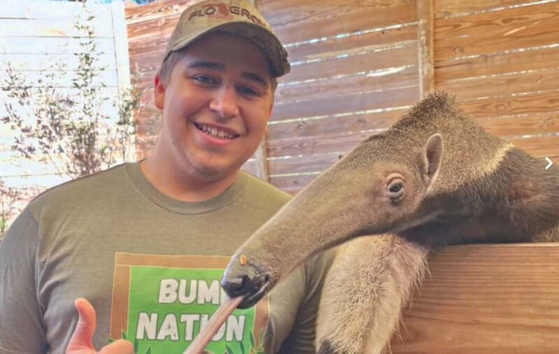 Lamont: Anteater Encounter at North Florida Wildlife Center - A Unique Wildlife Experience in Lamont