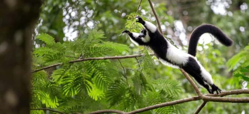 Lamont: North Florida Wildlife Center Guided Tour - A Practical Look at the Tour Experience