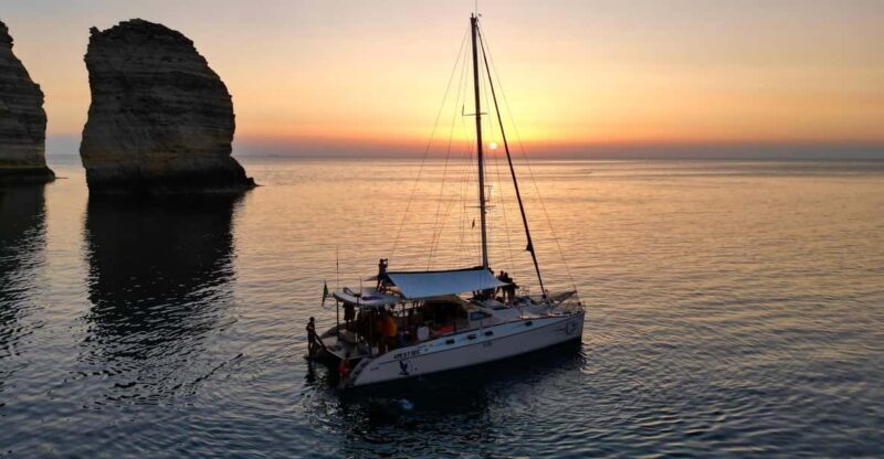 Lampedusa: Dolphin watching with aperitif at sunset - Key Points
