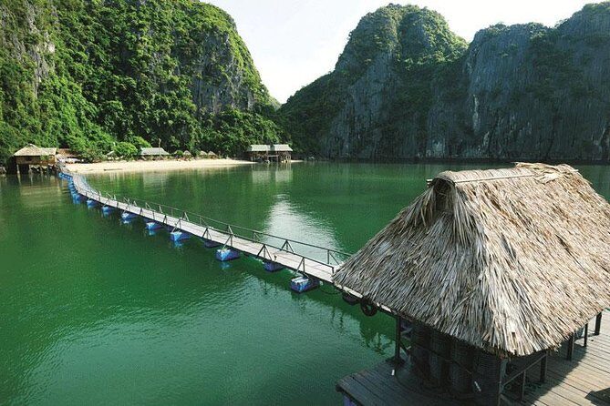 Lan Ha Bay 1 Day Tour - Who Is This Tour Best For?