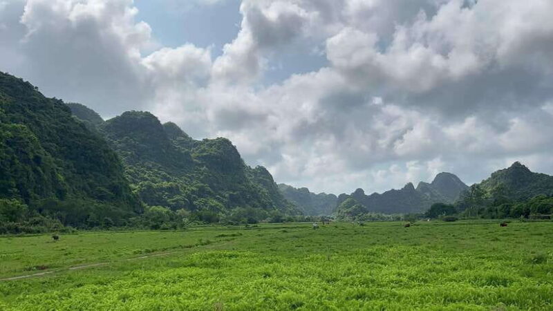 Lan Ha Bay Cat Ba Island Sightseeing Cruise 2 Days Tour - FAQ