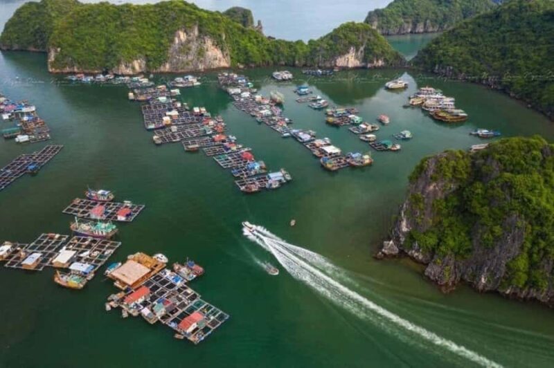 Lan Ha Bay Cruise and Kayak ,Monkey island - Who Will Love This Tour?
