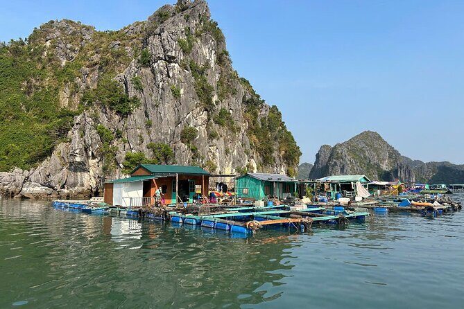 Lan Ha Bay Sunset and Bioluminescent Kayaking Tour - FAQ