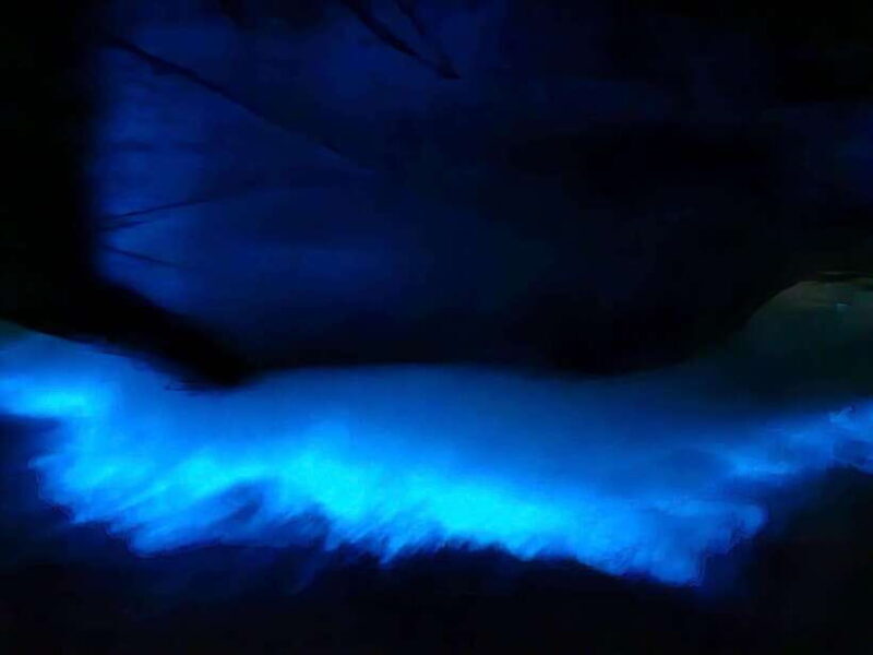 Lan Ha Bay sunset and night kayak with Bioluminescence - Key Points