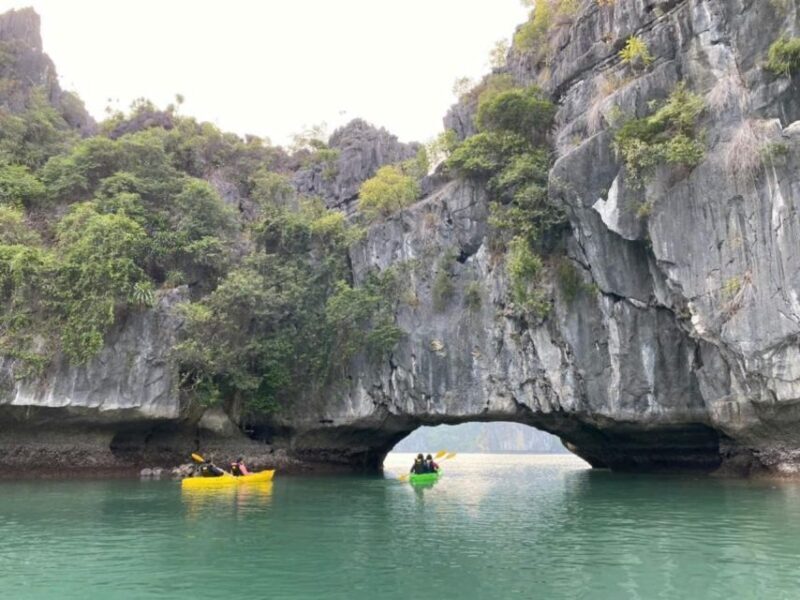 Lan Ha Bay Viet Hai village Boutique Cruise - Setting the Scene: What the Tour Offers