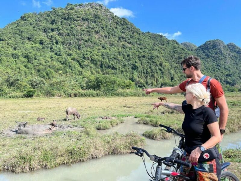 Lan Ha Bay Viet Hai village Boutique Cruise - What Past Travelers Say