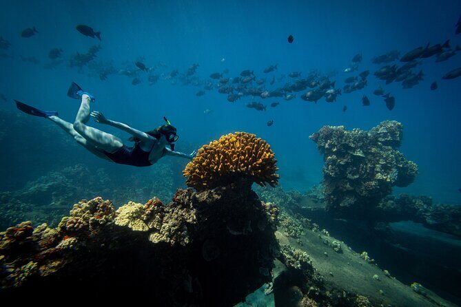 Lana'i Coast Snorkel and Sail - Who Is This Tour Best For?