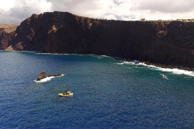 Lanai Deluxe Dolphin Adventure & 3 Snorkel Sites - The Experience: What to Expect on the Tour