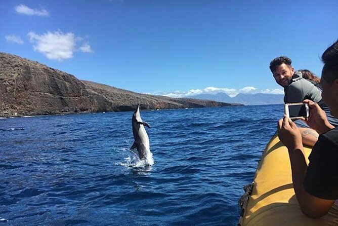 Lanai Deluxe Dolphin Adventure & 3 Snorkel Sites - The Value of the Tour: What Youll Get for $200