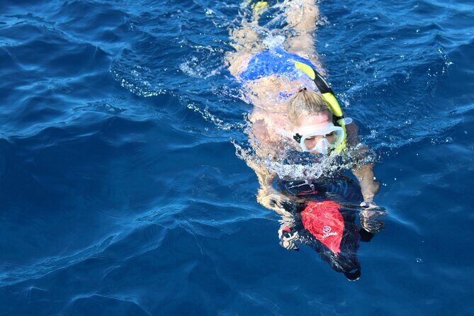 Lanai Snorkeling Half Day with Sea Scooter - A Closer Look at the Tour Experience