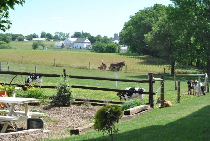 Lancaster: Amish Experience Visit-in-Person Tour of 3 Farms - Key Points