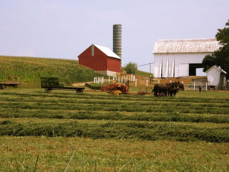 Lancaster: Amish Farmlands Guided Tour - FAQ