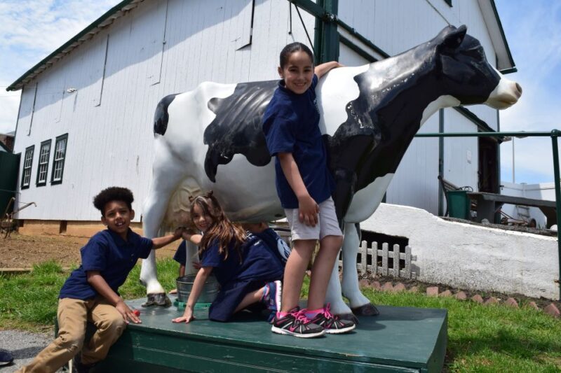 Lancaster County: Amish Farmlands, Museum Tour, Farm Visit - The Guided Tour Experience