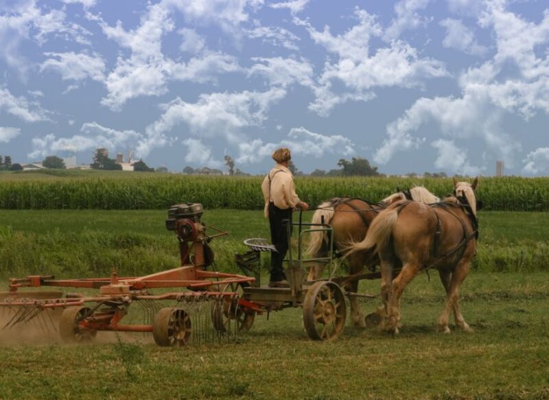 Lancaster County: Amish Farmlands, Museum Tour, Farm Visit - Who Should Consider This Tour?