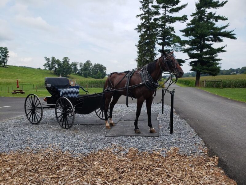 Lancaster: Downtown & Amish Country Authentic Lancaster Tour - Why This Tour Is a Great Fit