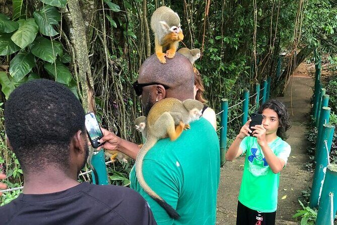 land of monkeys and silver port city tour - Who Will Love This Tour?