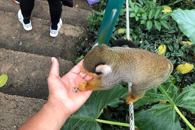 land of monkeys and silver port city tour - Final Thoughts