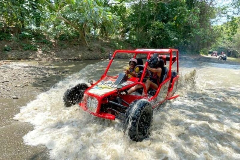Land of Monkeys Plus ATV Buggies Adventure in Puerto Plata - An In-Depth Look at the Puerto Plata Land of Monkeys & Buggies Tour