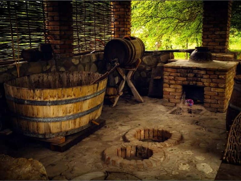 Land of the Sun Full Day Wine and Grapes Tour in Kakheti - An In-Depth Look at the Tour Experience