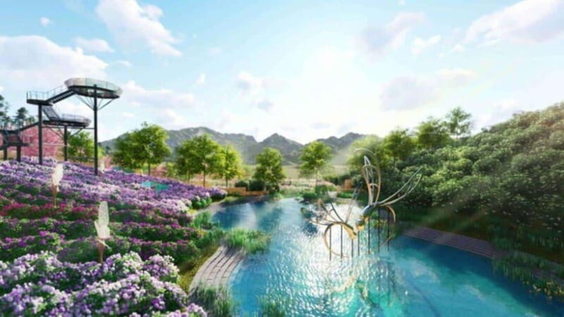 LAND OF THOUSANDS OF FLOWERS IN DA LAT 3D2N - Authentic Experience: What Travelers Say