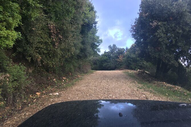 Land Rover Safari Corfu South Route - The Experience in Review