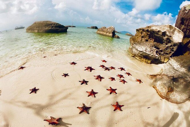 Land Tour 2: Discover the North - Kayaking & Starfish beach Phu Quoc (Not Lunch) - Setting the Scene: Why Choose This Tour?