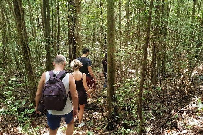 Land Tour 2: Discover the North - Kayaking & Starfish beach Phu Quoc (Not Lunch) - The Value Proposition: Price, Duration, and Whats Included