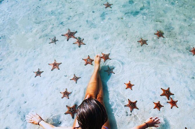 Land Tour 2: Discover the North - Kayaking & Starfish beach Phu Quoc (Not Lunch) - The Real Experiences: What Travelers Are Saying