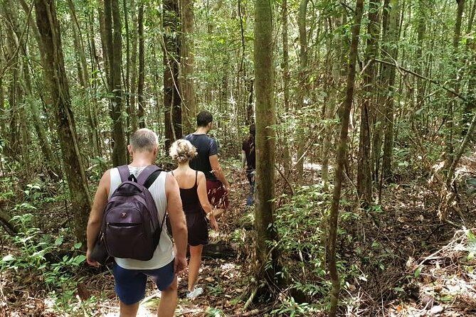 Land Tour 2: Discover the North - Kayaking & Starfish beach Phu Quoc (Not Lunch) - Safety and Comfort