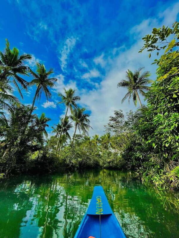 Land Tour Joiners - Analyzing the Tour Experience: What to Expect Throughout the Day