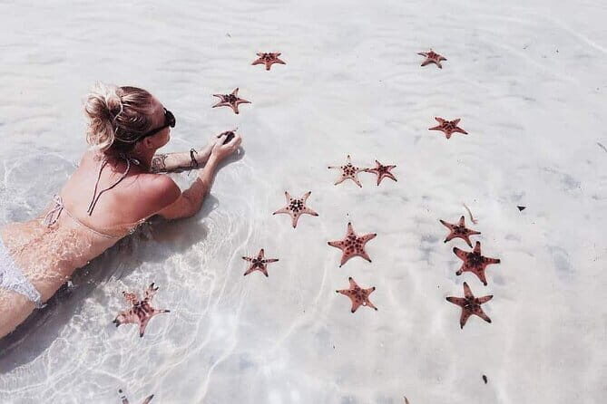 Land Tour to Phu Quoc North Island and Kayaking - Key Points