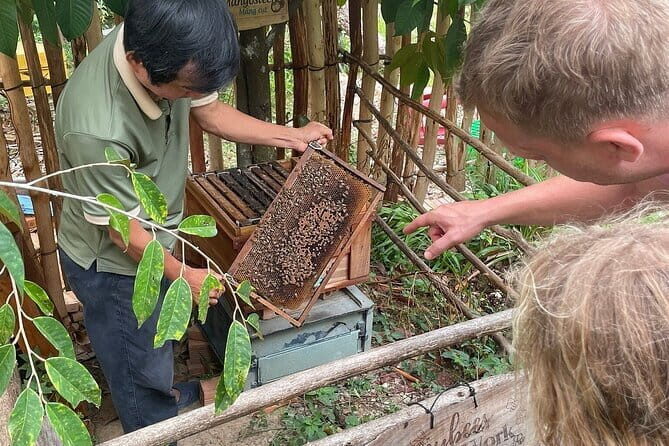 Land Tour to Phu Quoc North Island and Kayaking - An In-Depth Look at the Itinerary