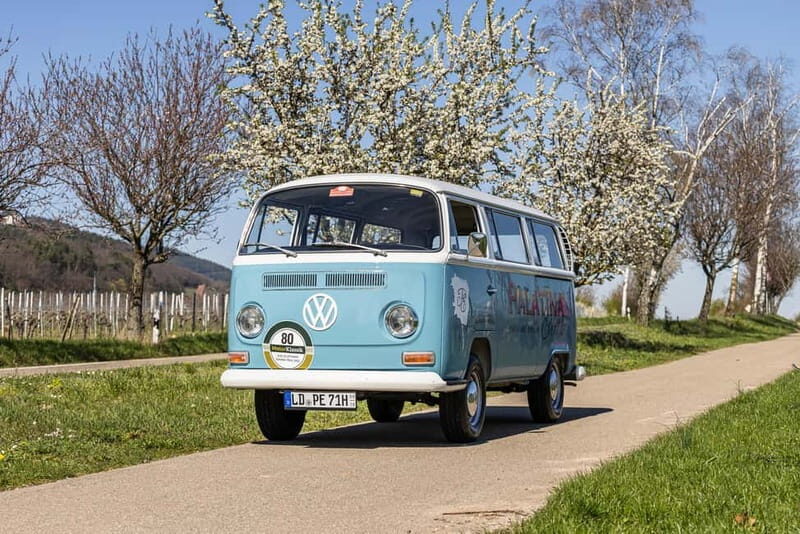 Landau: Tour in a vintage VW bus through the Palatinate wine country - An Authentic Journey in the Palatinate