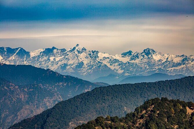 Landour Figure of Eight Walk - What the Reviews Say