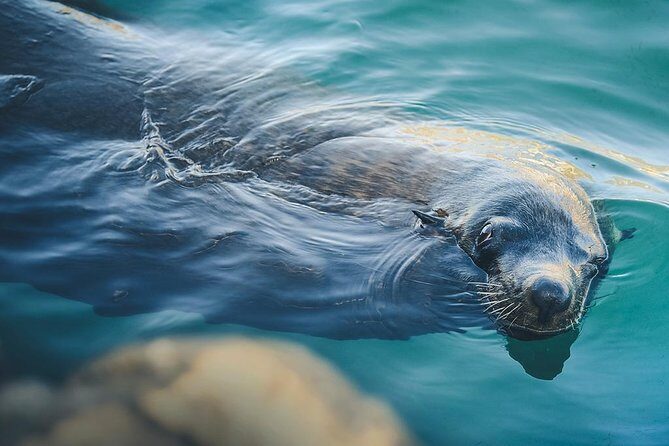 Lands End Experience  Arch, Beaches & Marine Life - An In-Depth Look at the Lands End Experience