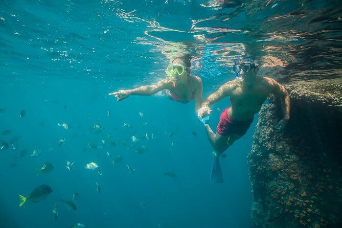 Land's End & Snorkel Tour in a Glass Bottom Boat (VisitA Cabo) - An In-Depth Look at the Lands End & Snorkel Tour