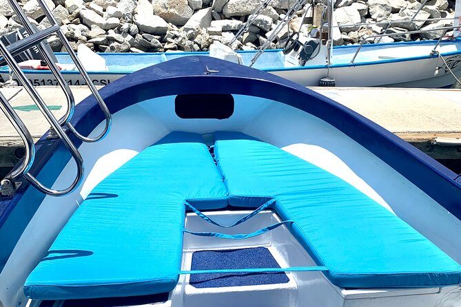 Land's End Tour in a Glass Bottom Boat - The Viewing Experience and Marine Life