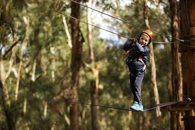 Lane Poole Park Dwellingup - Junior Tree Ropes & Ziplining - Safety and Accessibility