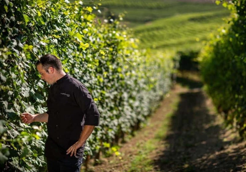 Langhe and Roero: Cooking class and tasting of Piedmontese cuisine - Who Would Love This?