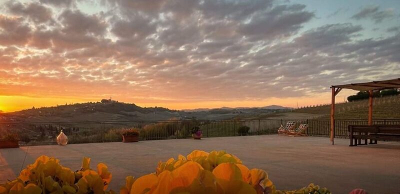 Langhe e Monferrato: Amerio Vincenzo Wine Tour and Tasting - Key Points
