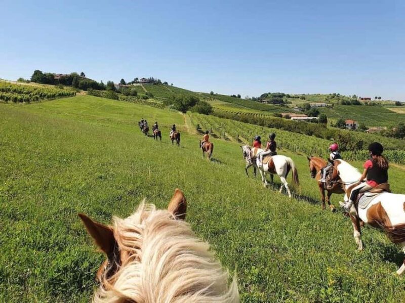 Langhe: Horse Riding in the Vineyards - Who Is This Tour Best For?