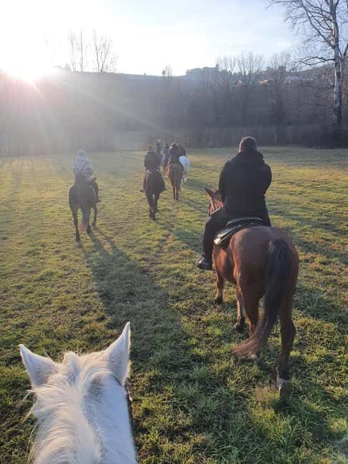 Langhe: Horse Riding in the Vineyards - Final Thoughts